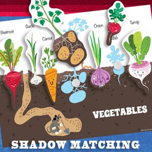 Cute Fruits and Vegetables Sorting Worksheet, Fruits and Vegetable ...
