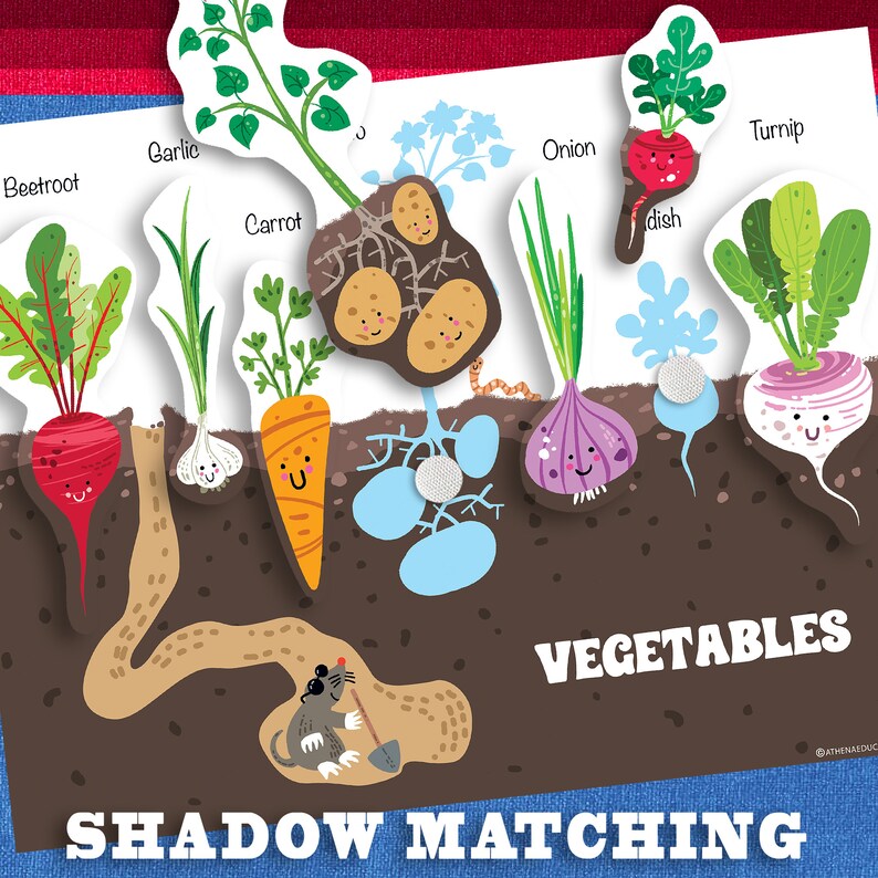 Cute Fruits and Vegetables Sorting Worksheet, Fruits and Vegetable ...
