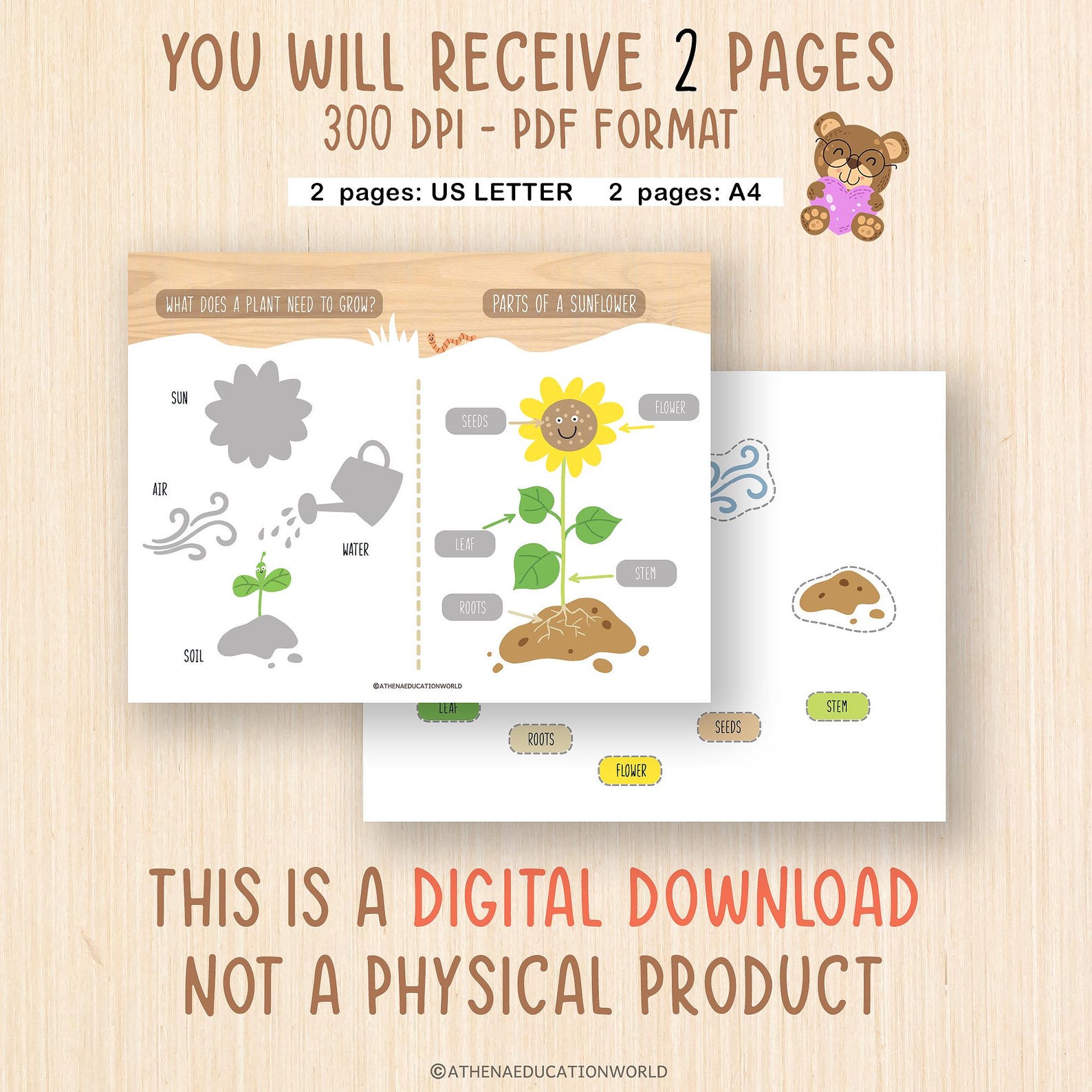 Plant Life Cycle Printable, Sunflower Growth Chart, Preschool Science ...