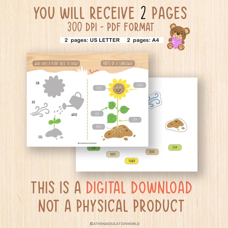 Plant Life Cycle Printable, Sunflower Growth Chart, Preschool Science ...