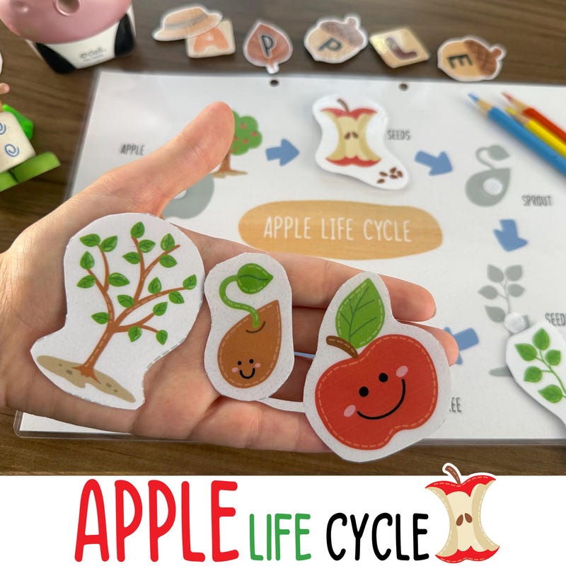 Safari Life Cycle - Etsy