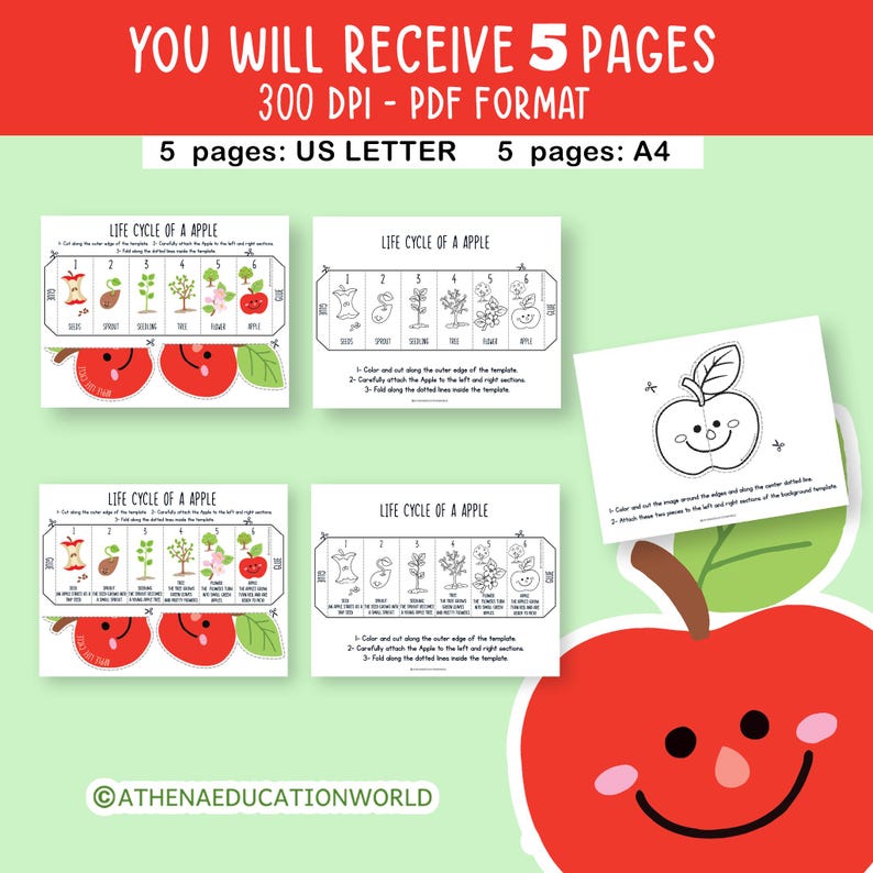 Apple Life Cycle Printable Coloring Foldout for Kids, Science ...