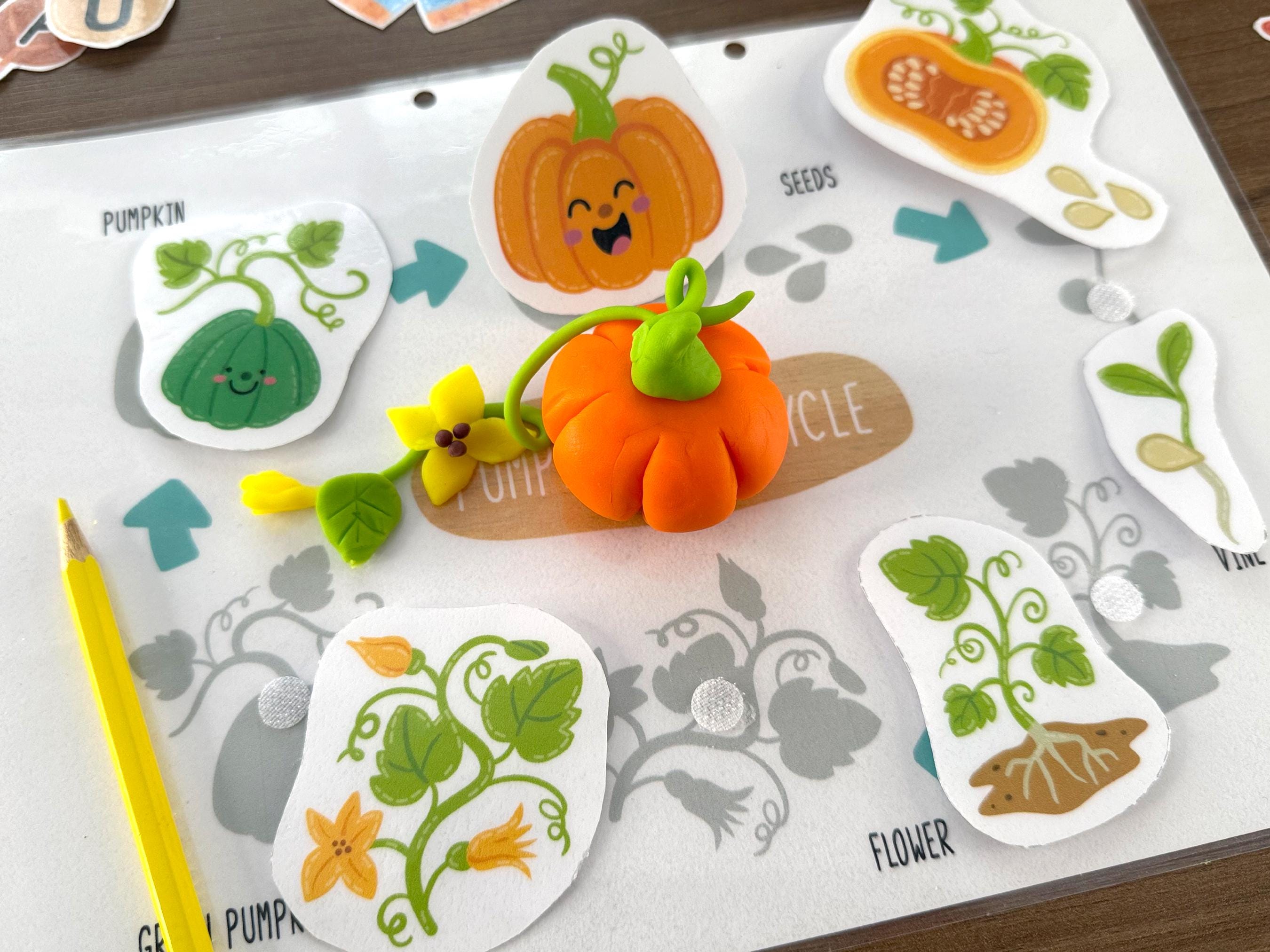 Pumpkin Life Cycle Activity for Kids,fall Preschool Science Printable ...