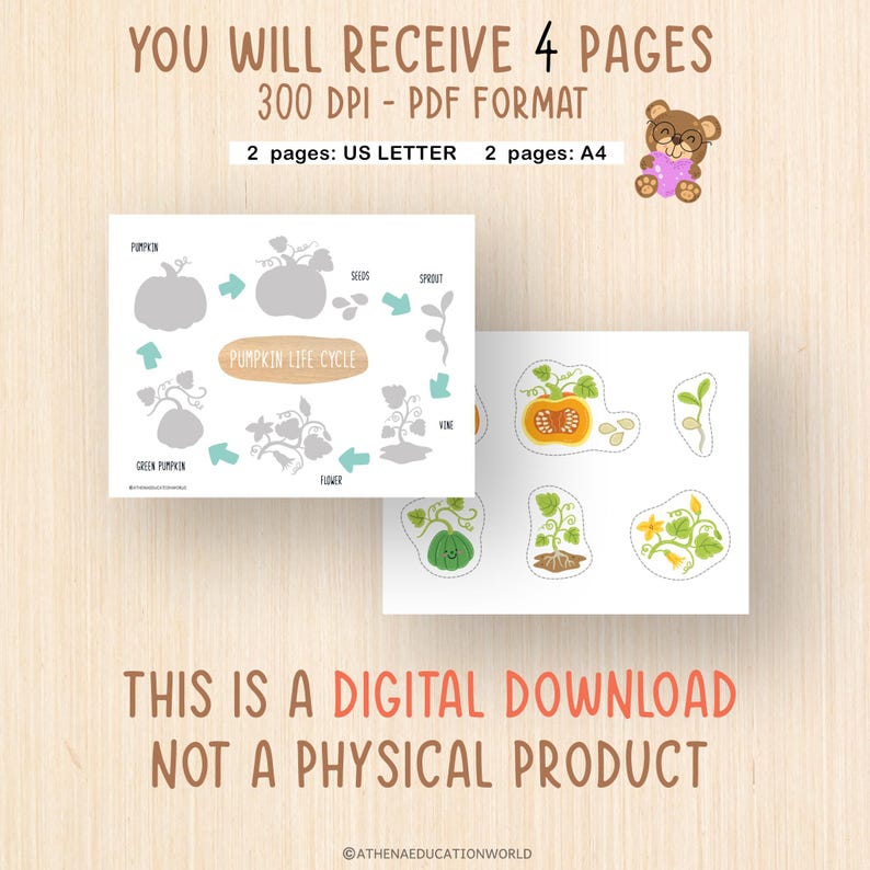 Pumpkin Life Cycle Activity for Kids,fall Preschool Science Printable ...