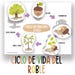 Oak Tree Life Cycle Printable in Spanish, Ciclo De Vida Del Roble ...