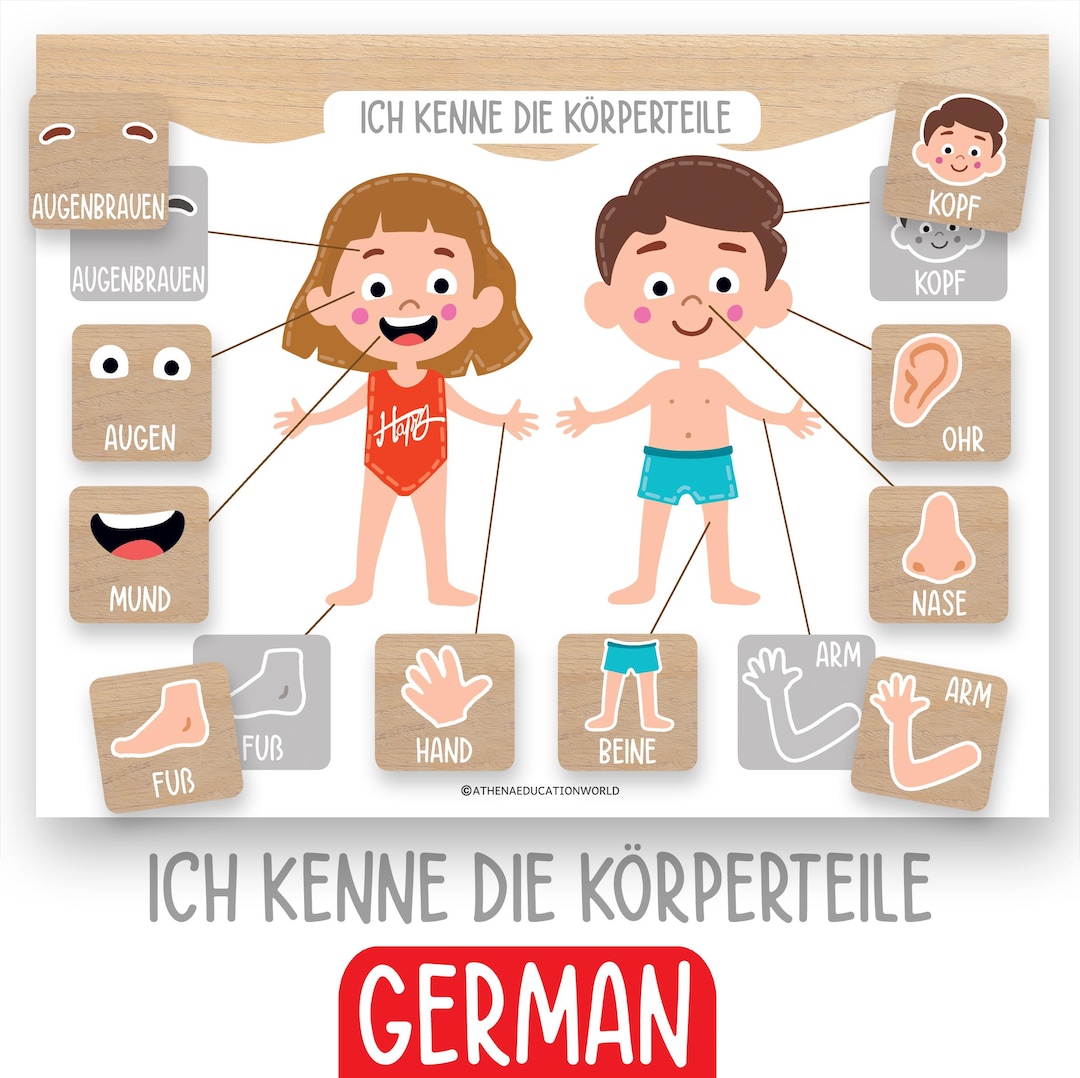 German Body Parts Worksheet,toddler Activity,homeschool Printables ...