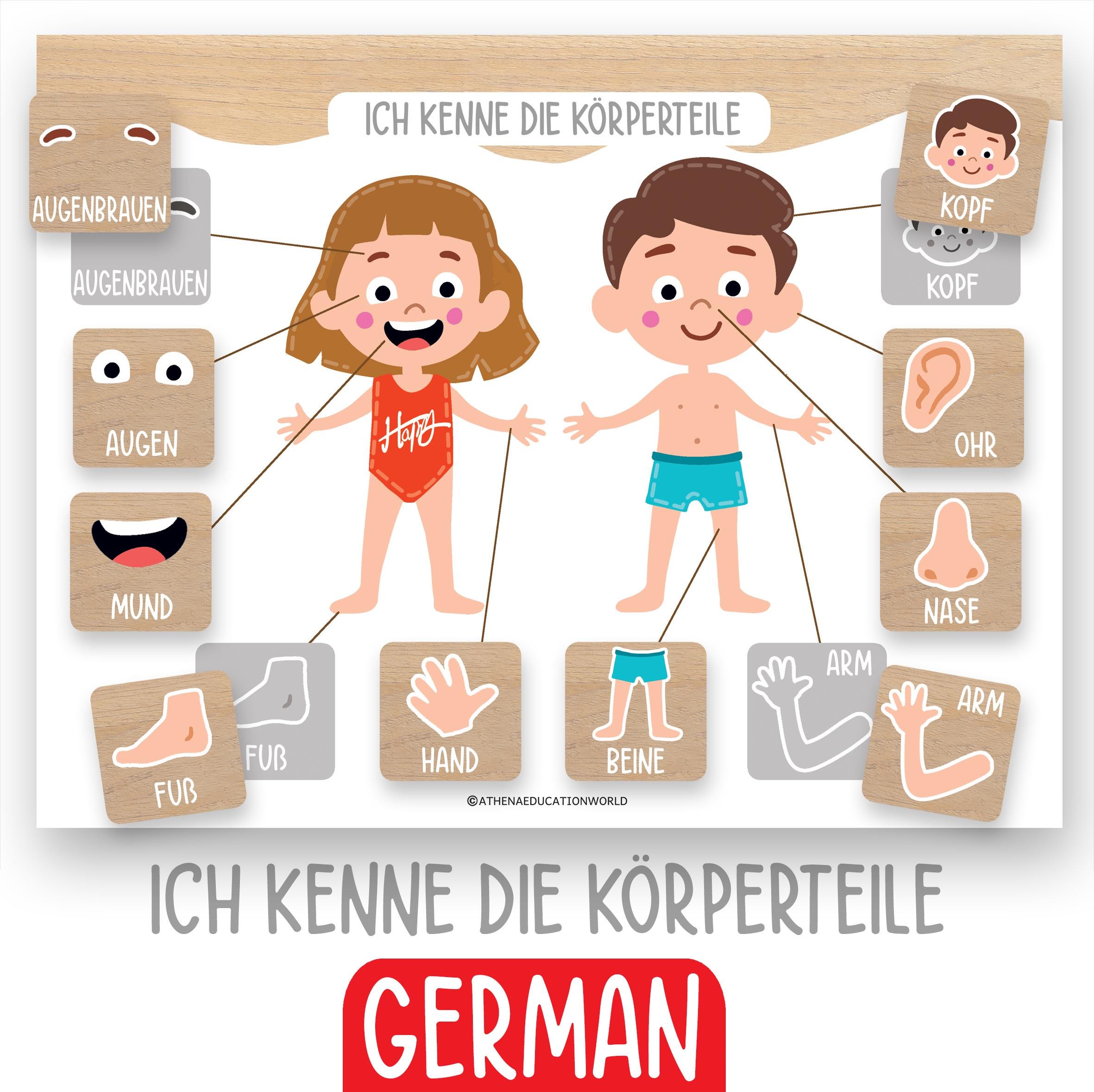 German Body Parts Worksheet,toddler Activity,homeschool Printables ...