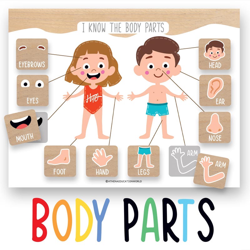 AthenaEducationWorld - Etsy