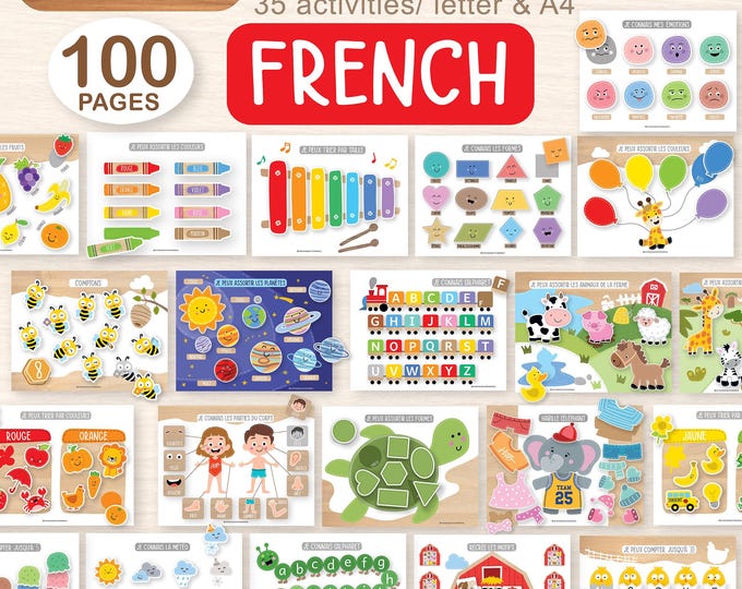 French Popsicle Stick Shapes Activity: Montessori Printable (digital ...