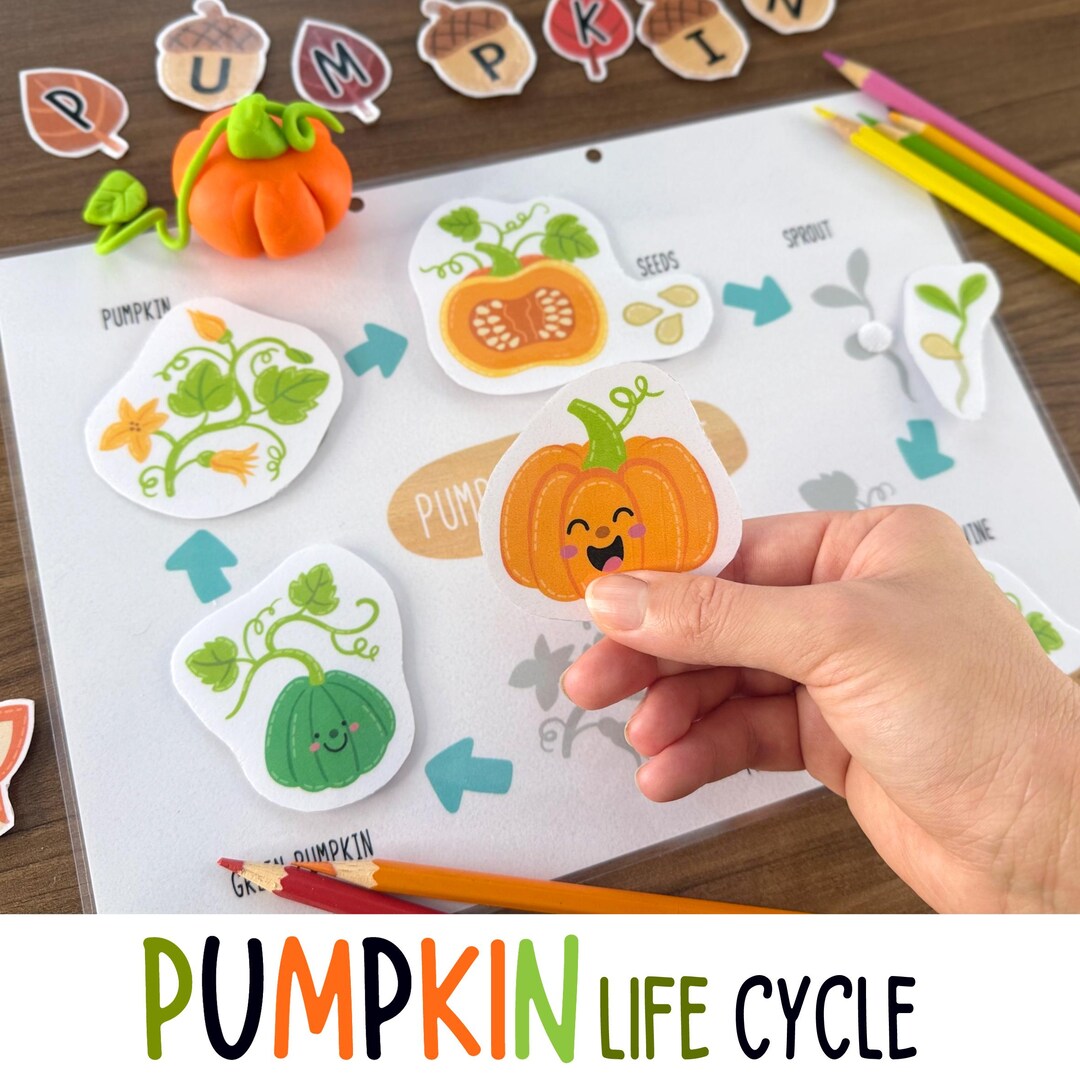 Pumpkin Life Cycle Activity for Kids,fall Preschool Science Printable ...