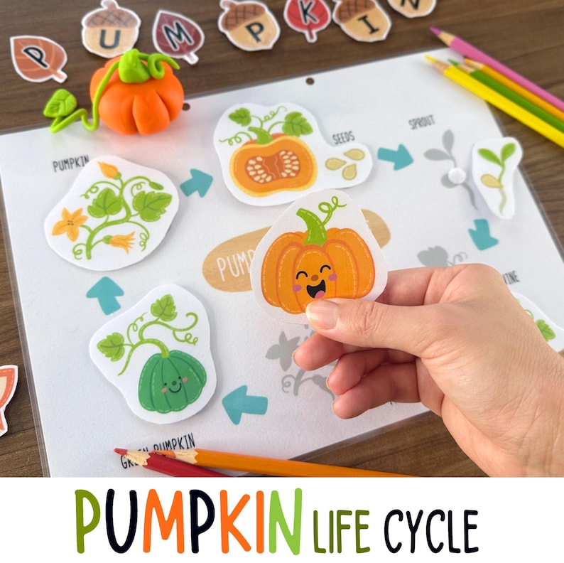 Pumpkin Life Cycle Activity for Kids,fall Preschool Science Printable ...