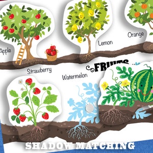 Cute Fruits and Vegetables Sorting Worksheet, Fruits and Vegetable ...