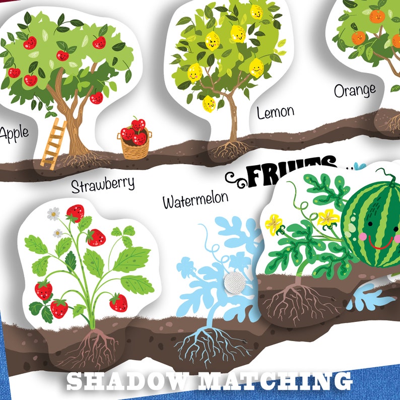 Cute Fruits and Vegetables Sorting Worksheet, Fruits and Vegetable ...