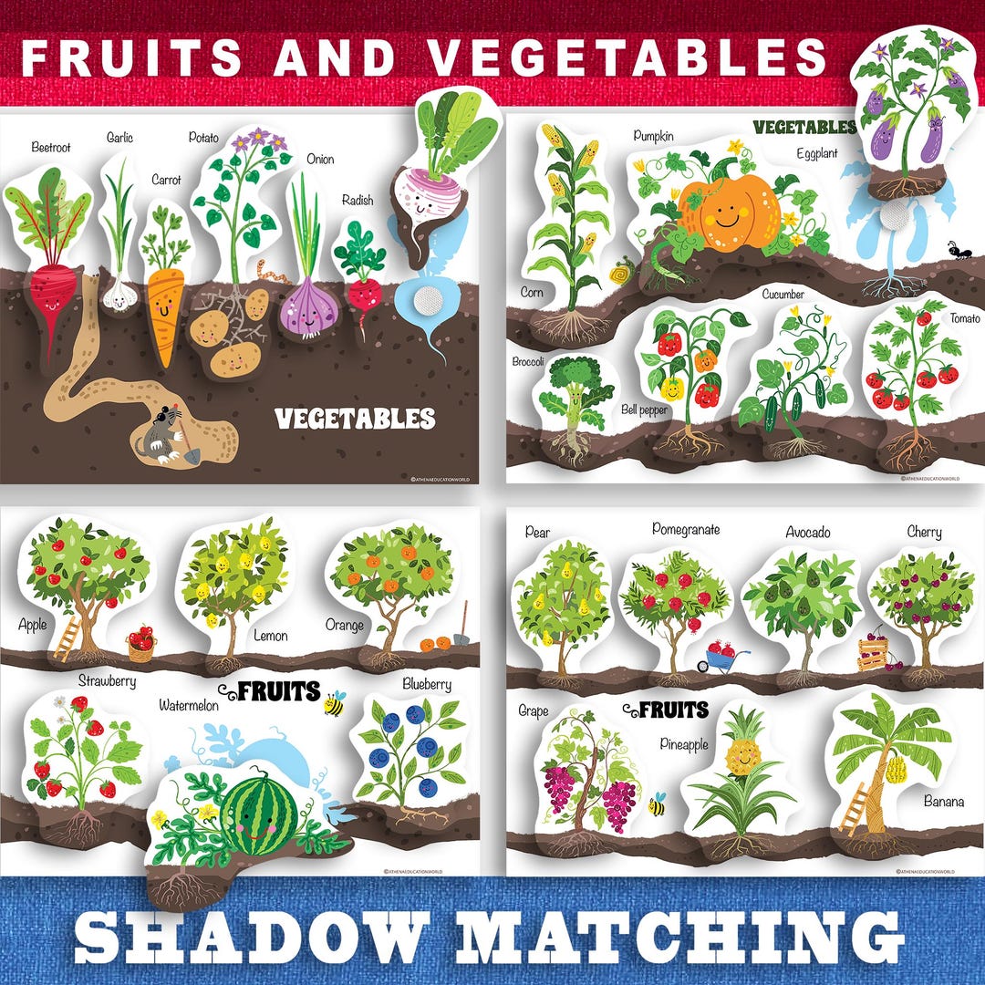 Cute Fruits and Vegetables Sorting Worksheet, Fruits and Vegetable ...