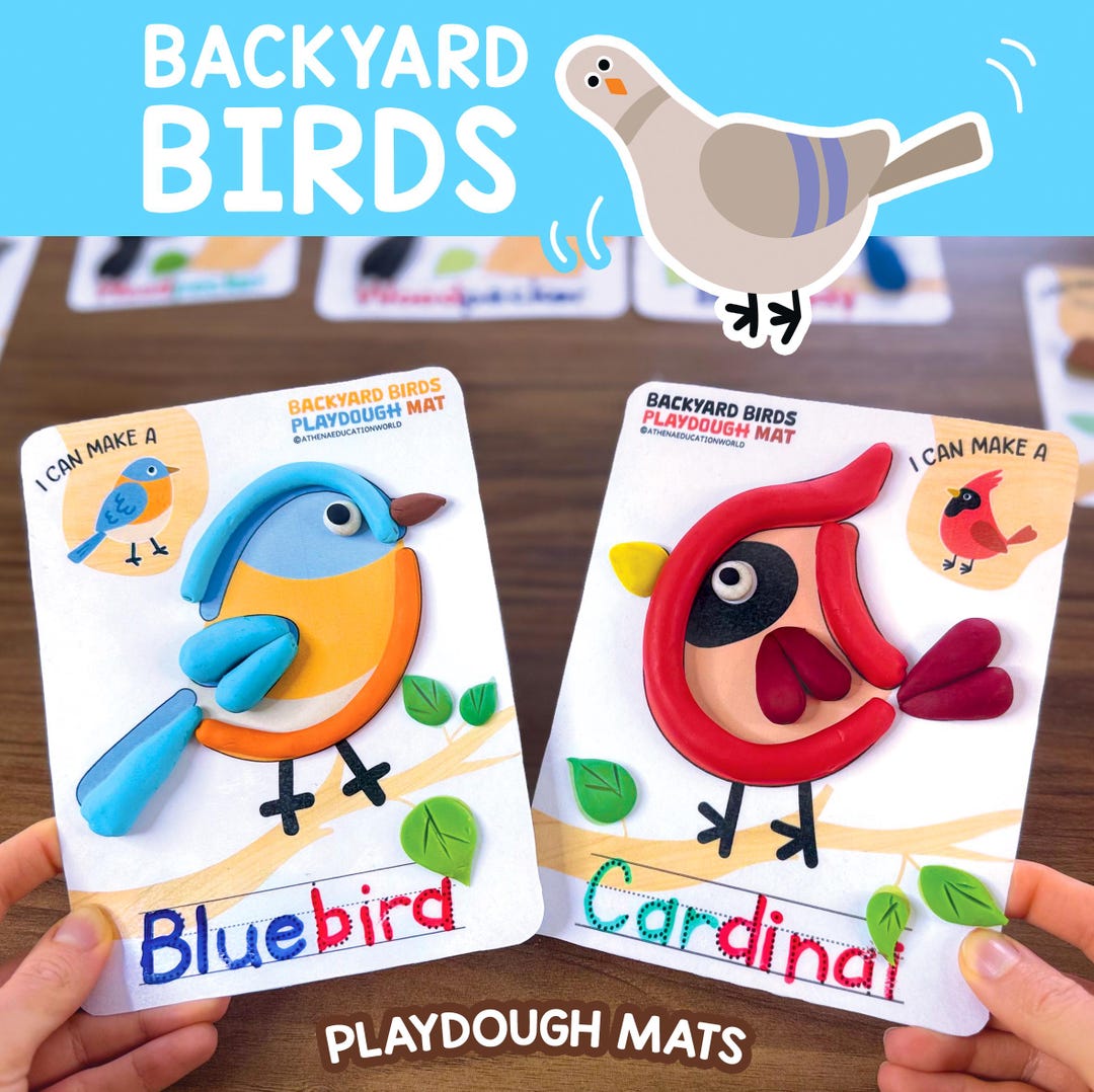 Backyard Birds Playdough Mats Printable, Fine Motor Activity, Preschool ...