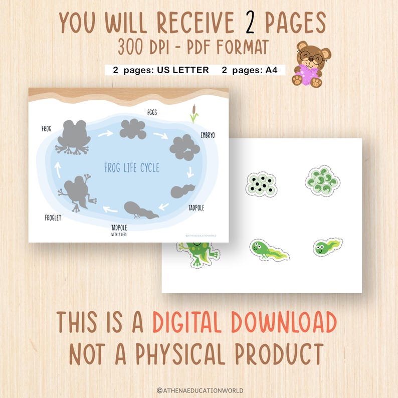 Frog Life Cycle for Kids Printable, Educational Science Chart for ...