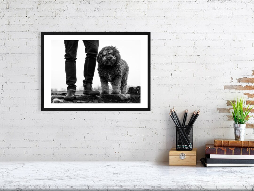 Cavapoo Dog With Owner Black and White Print - Etsy