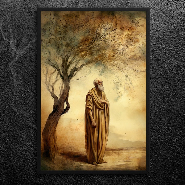 Plato - Etsy