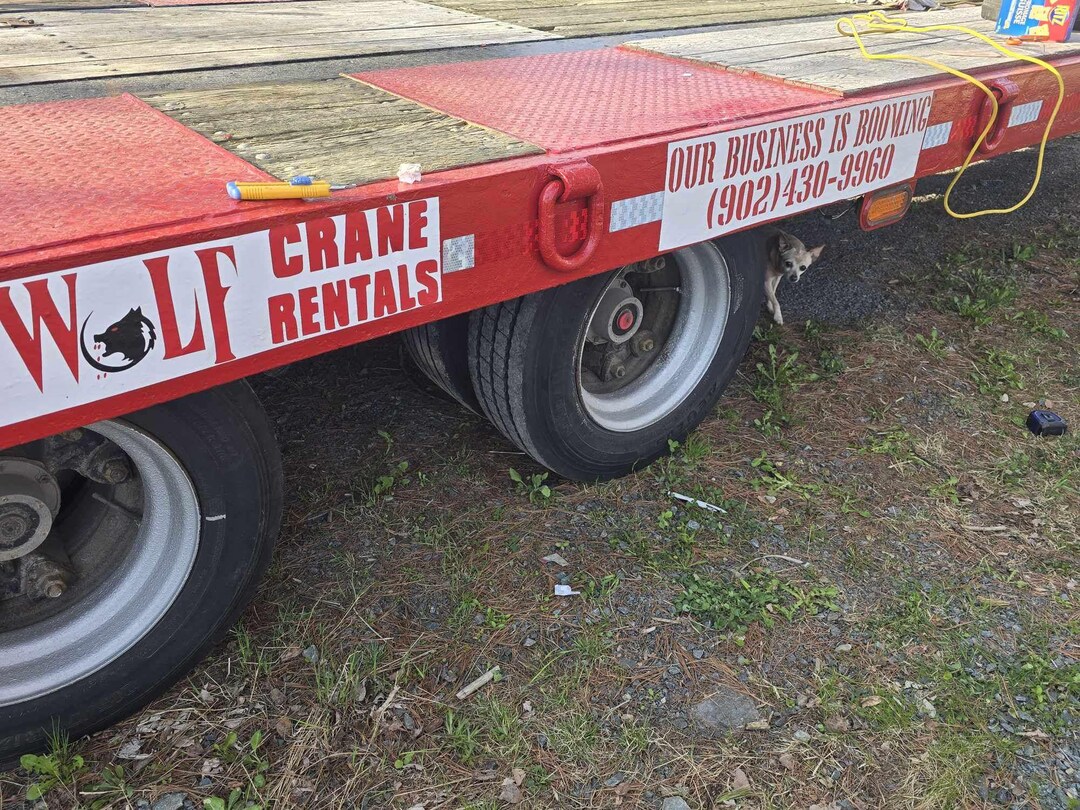 Custom Business Decals for Trailer or Truck (INCLUDES 6 Backing and 6 ...