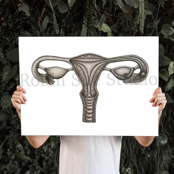 Female Anatomy - Etsy