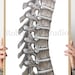 Spine Anatomy Poster Medical Decor for Doctor Office Decor for Waiting ...