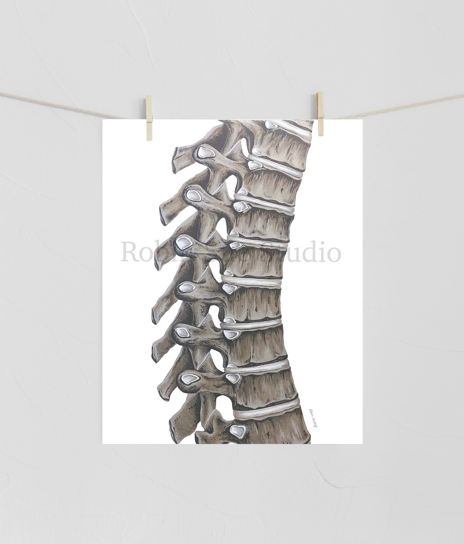 Spine Anatomy Poster Medical Decor for Doctor Office Decor for Waiting ...