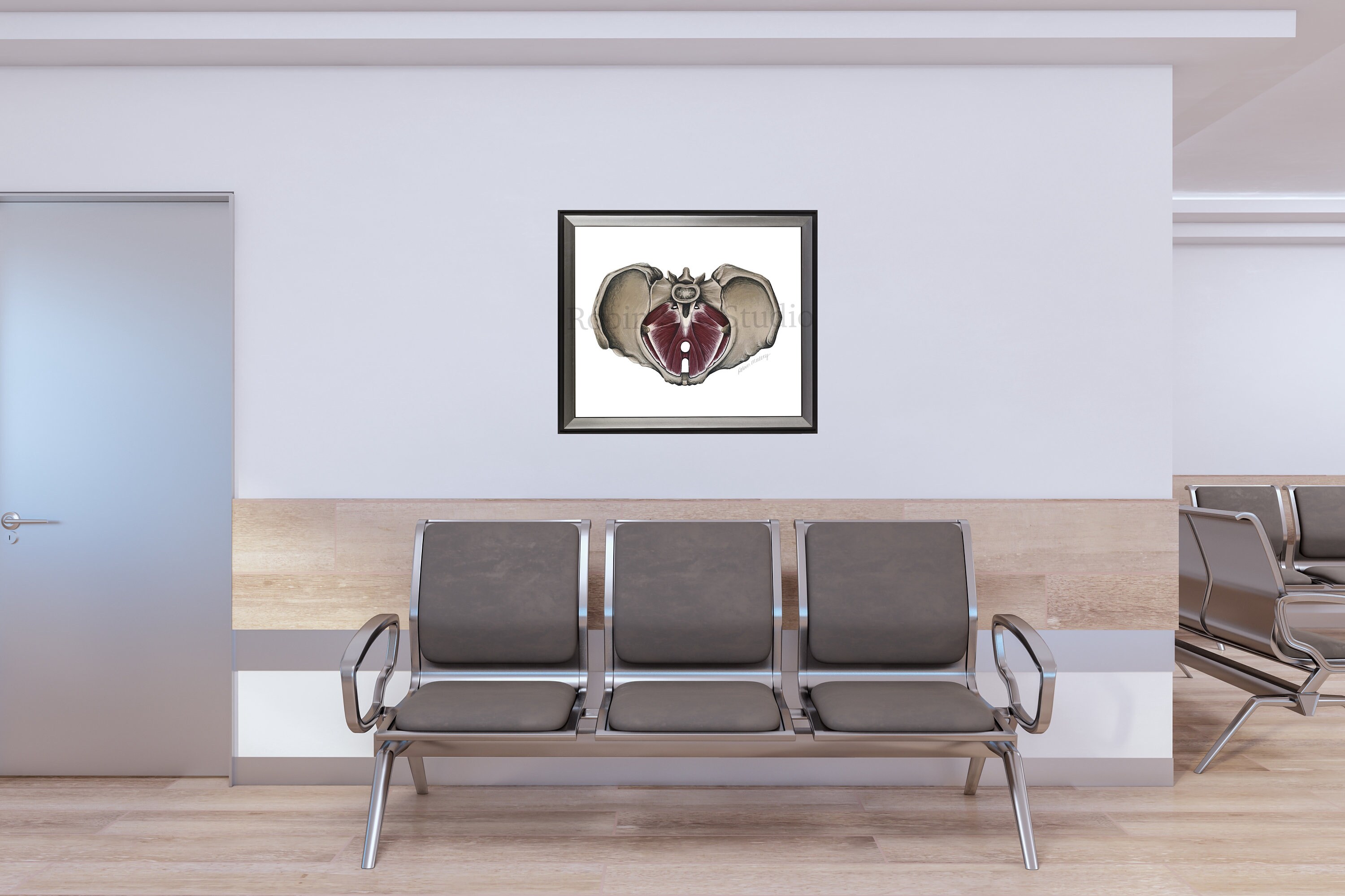 Pelvic Floor Poster for Womens Health Clinic Decor Pelvic Floor Anatomy ...