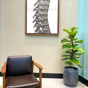 Spine Anatomy Poster Medical Decor for Doctor Office Decor for Waiting ...