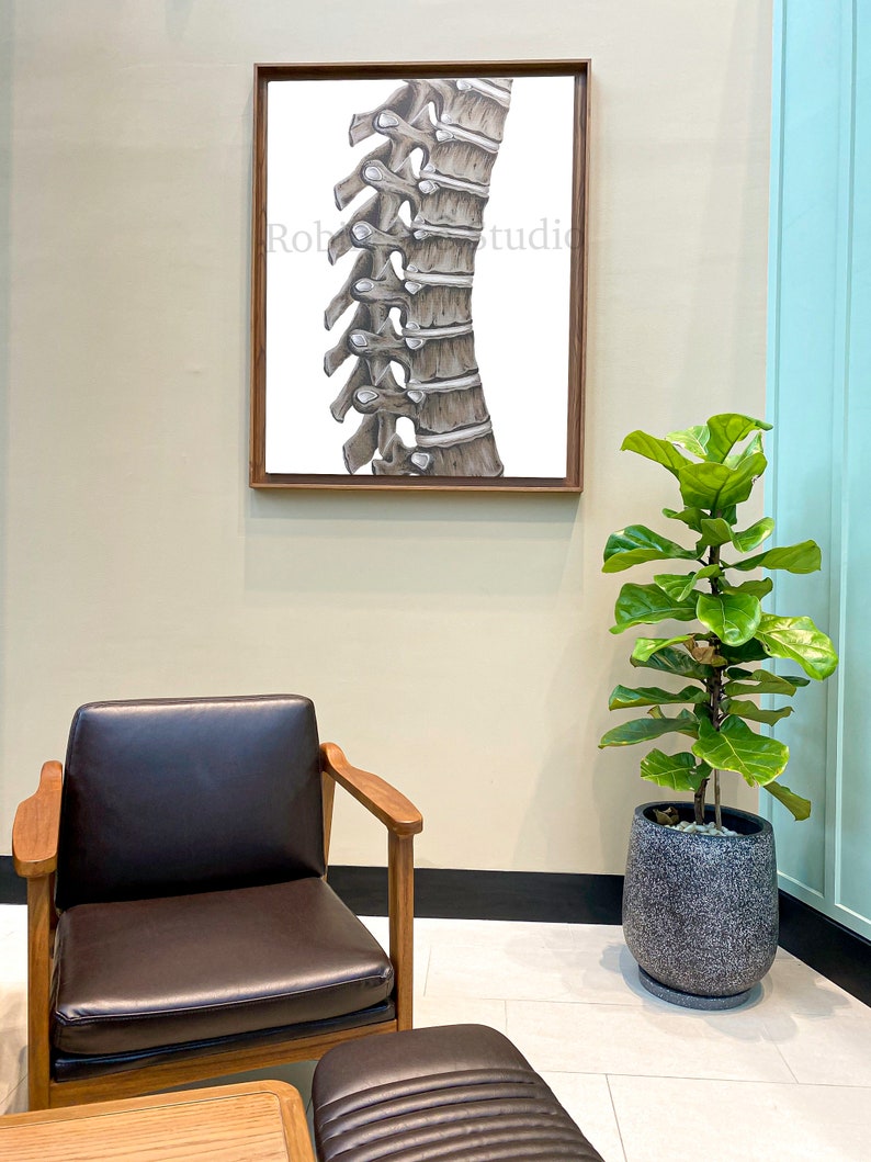 Spine Anatomy Poster Medical Decor for Doctor Office Decor for Waiting ...