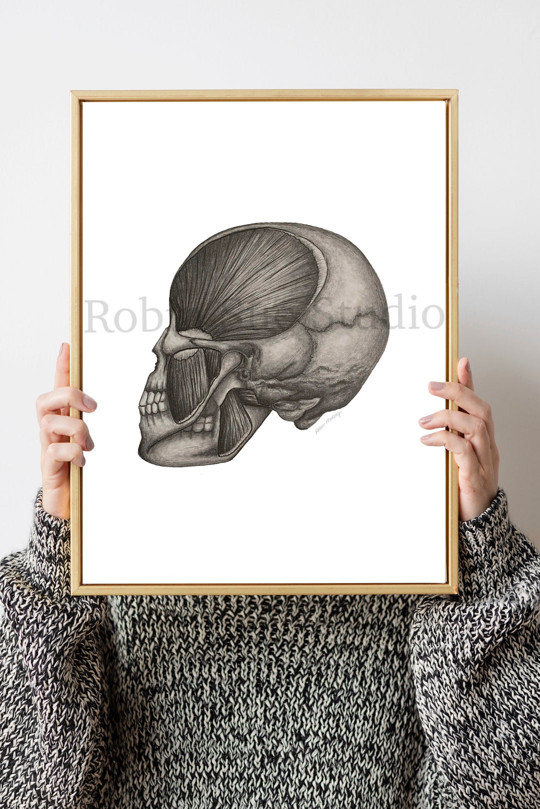 Anatomy Poster TMJ Anatomy Art for ENT Office Decor Medical Poster for ...
