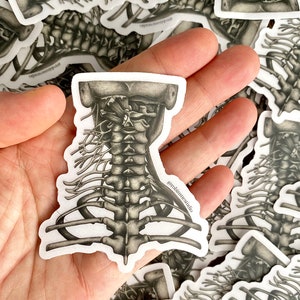 Clear Vinyl Sticker Spine Anatomy Sticker for Water Bottle Waterproof ...