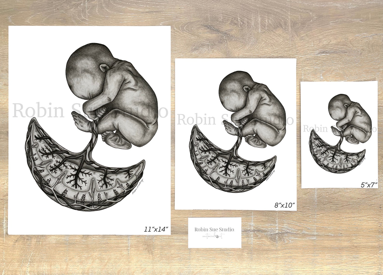 Placenta Art for OBGYN Gift for Midwife Gift for Doula Gift for Labor ...