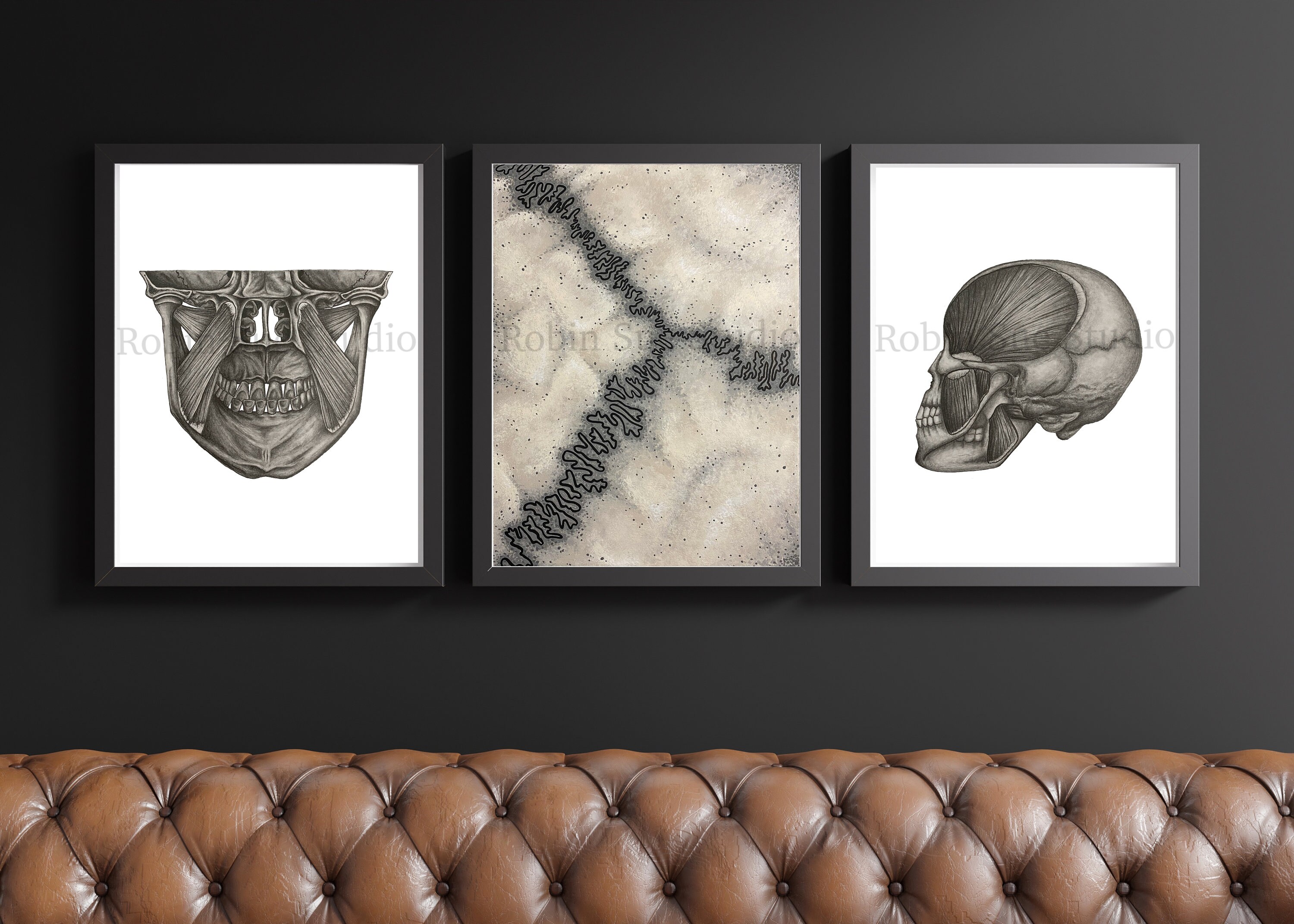 Custom Set of Three Anatomy Poster Bundle Custom Poster Set You Pick ...
