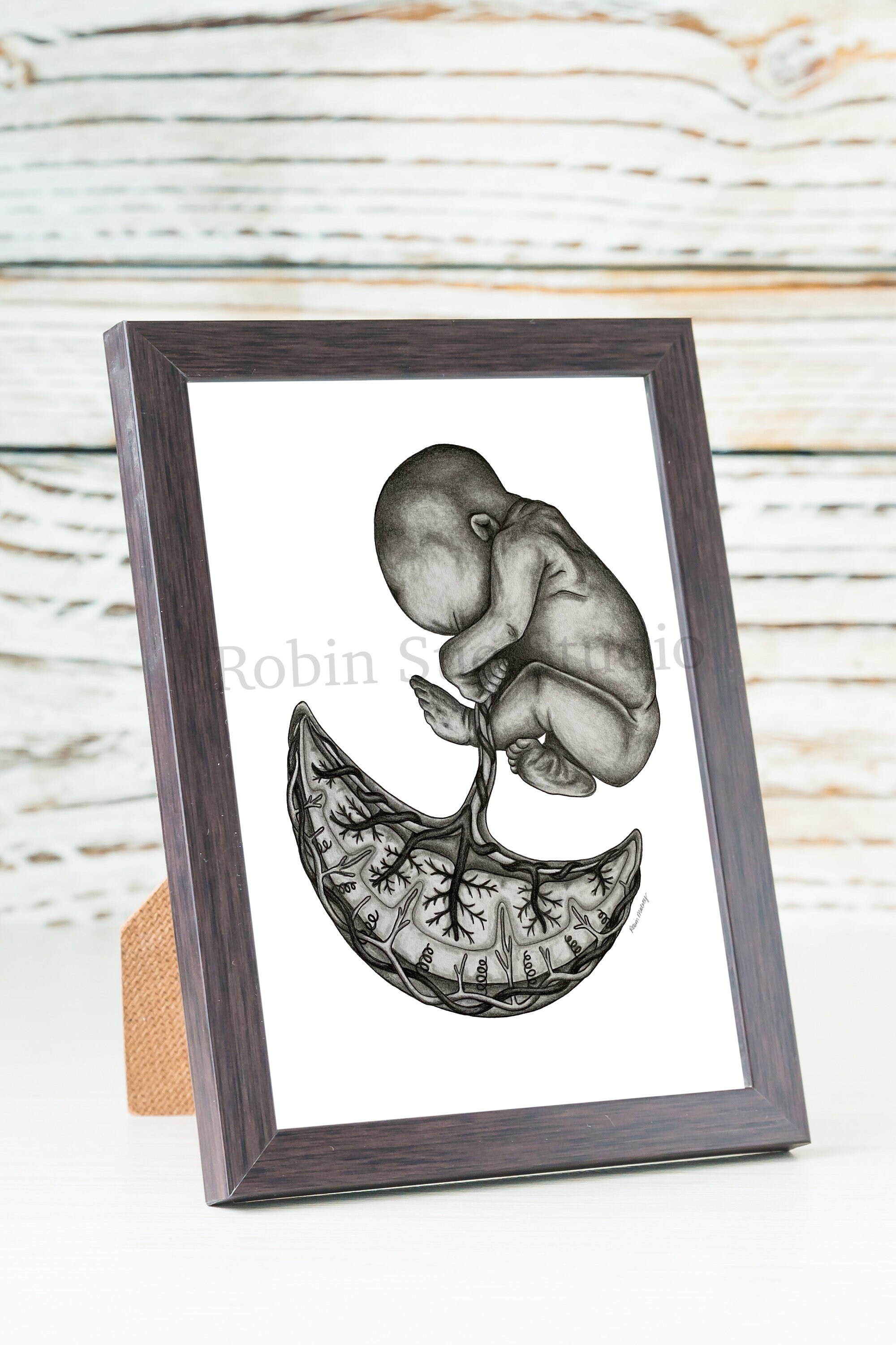 Placenta Art for OBGYN Gift for Midwife Gift for Doula Gift for Labor ...