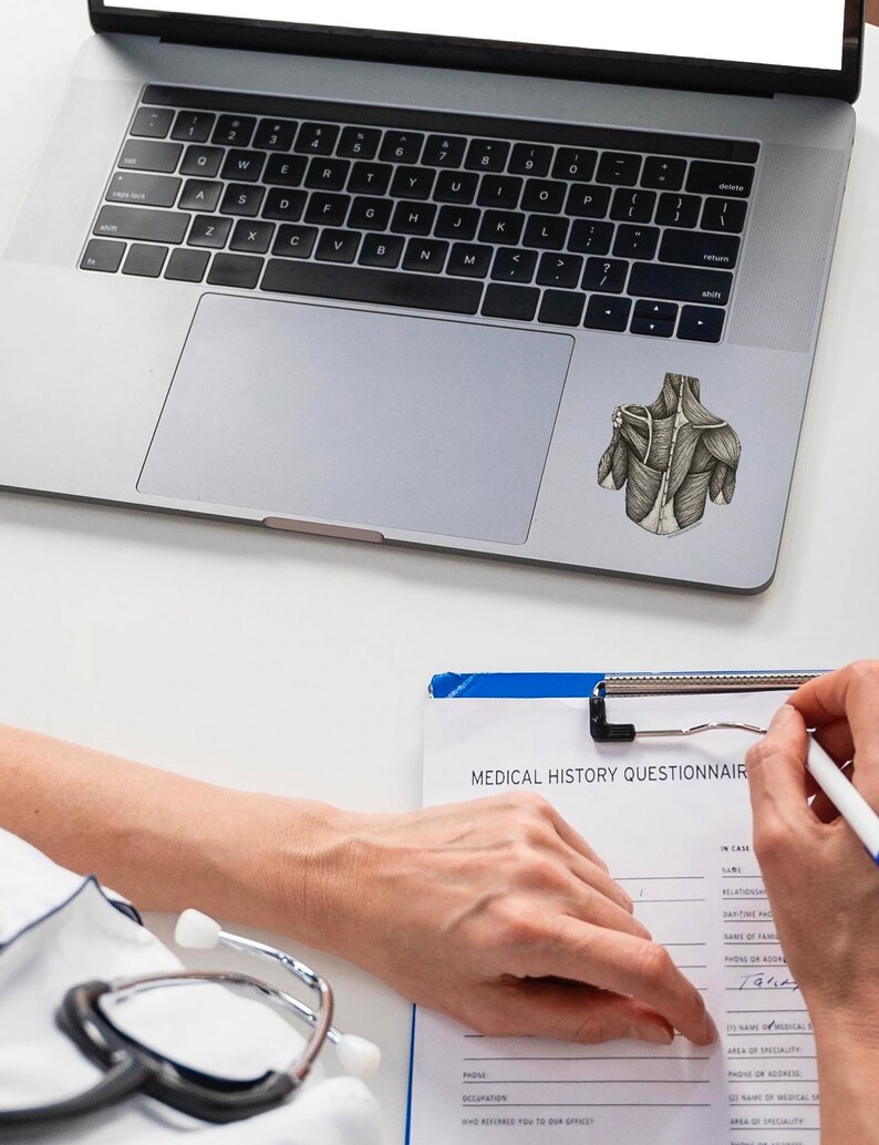 Clear Vinyl Sticker Back Muscle Anatomy Sticker Medical Theme Sticker ...