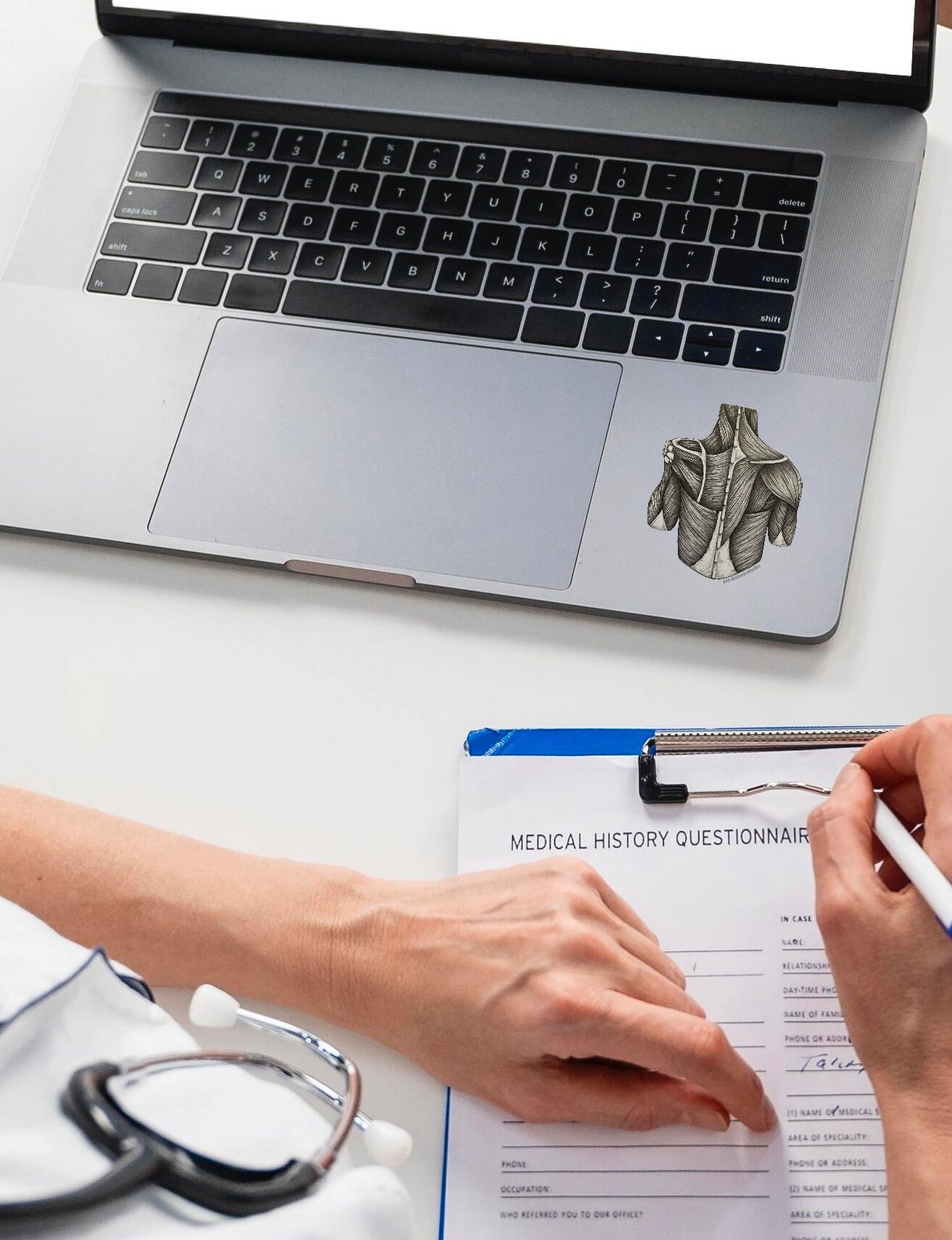 Clear Vinyl Sticker Back Muscle Anatomy Sticker Medical Theme Sticker ...