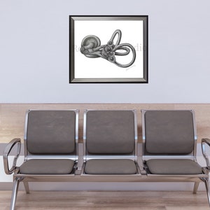 Vestibular Anatomy Poster Vestibular Art for ENT Office Wall Art ...