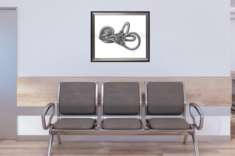 Vestibular Anatomy Poster Vestibular Art for ENT Office Wall Art ...