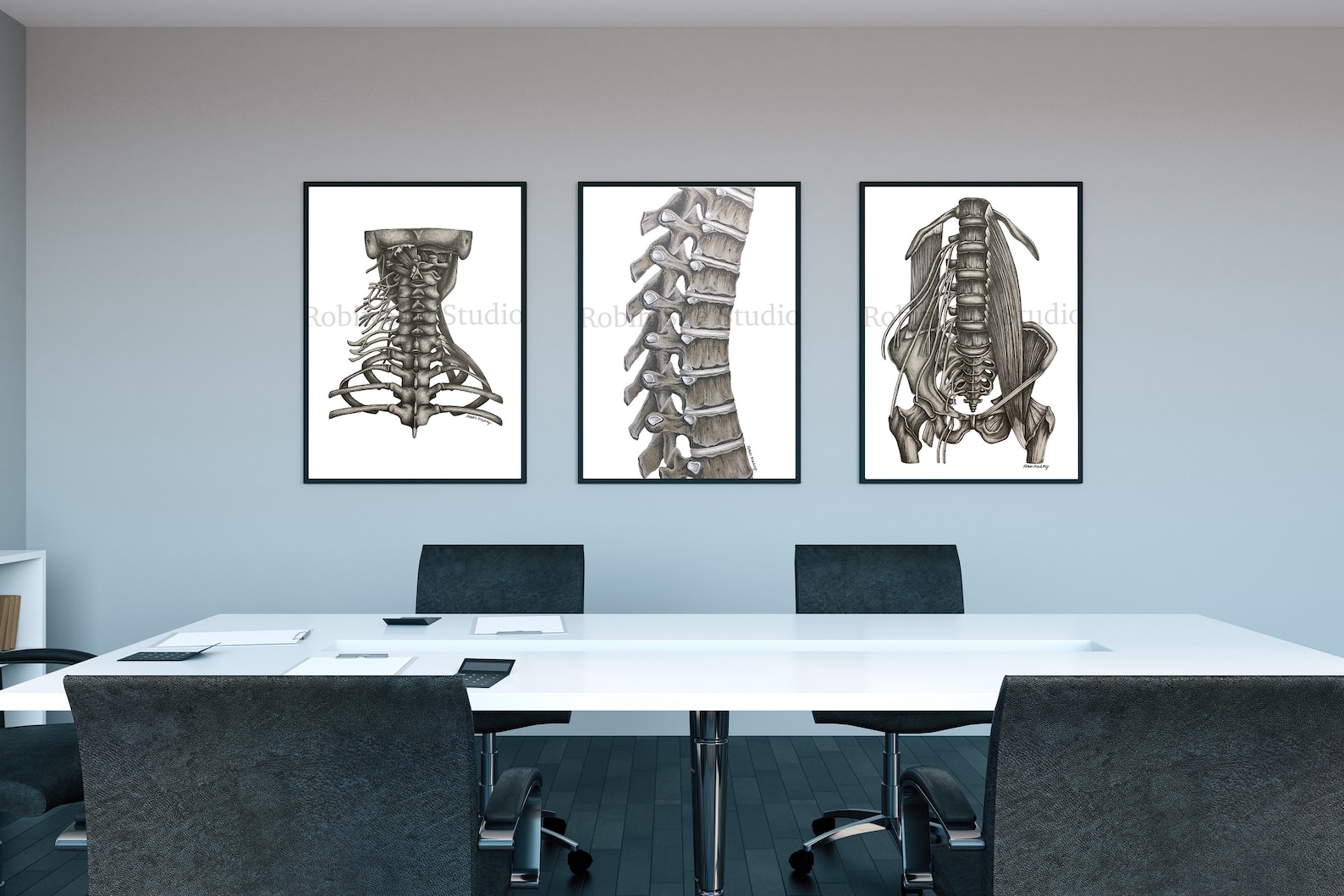 Spine Anatomy Poster Medical Decor for Doctor Office Decor for Waiting ...
