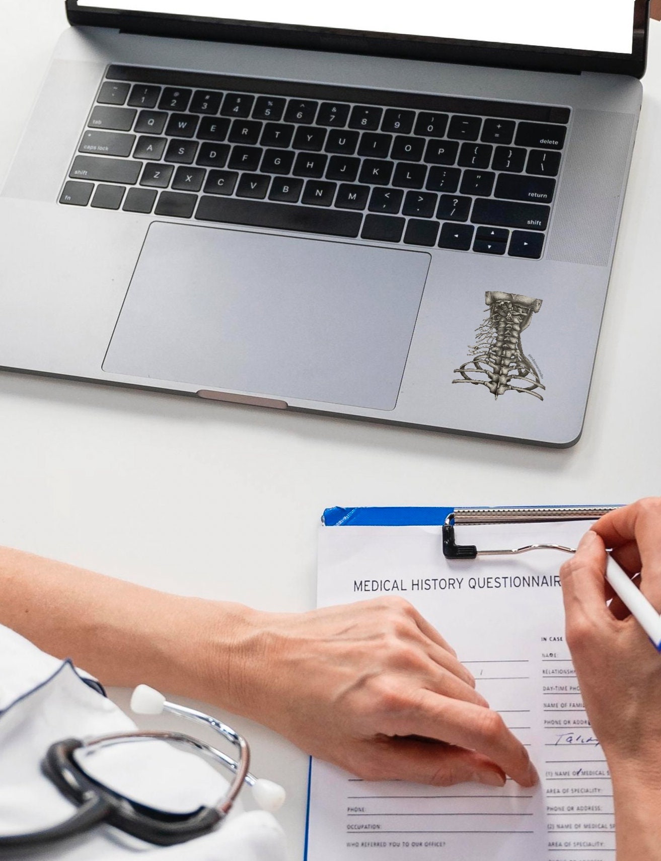 Clear Vinyl Sticker Spine Anatomy Sticker for Water Bottle Waterproof ...