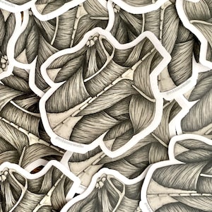 Clear Vinyl Sticker Back Muscle Anatomy Sticker Medical Theme Sticker ...