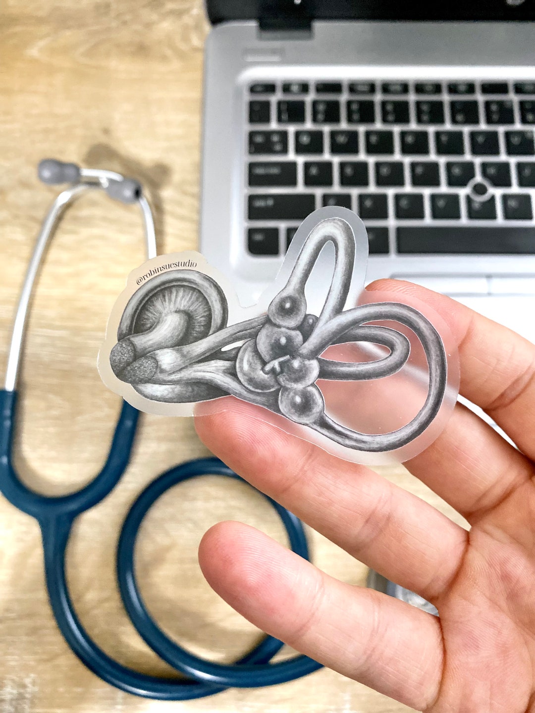 Clear Vinyl Sticker Vestibular Anatomy Sticker Audiologist Gift for ENT ...