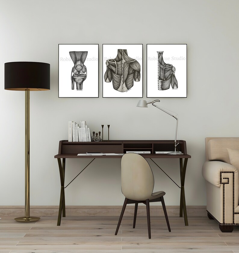 Custom Set of Three Anatomy Poster Bundle Custom Poster Set You Pick ...