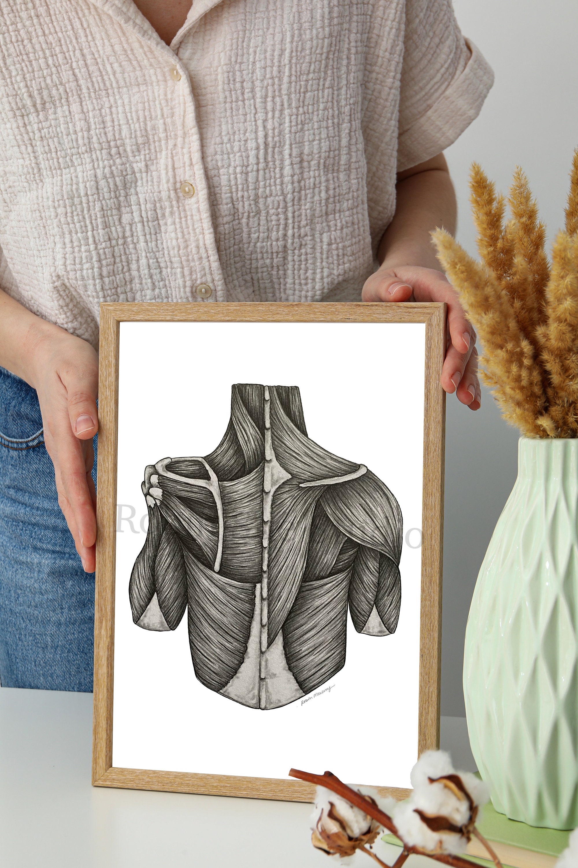 Back Muscle Anatomy Art Anatomy Decor for PT Clinic Decor Medical ...