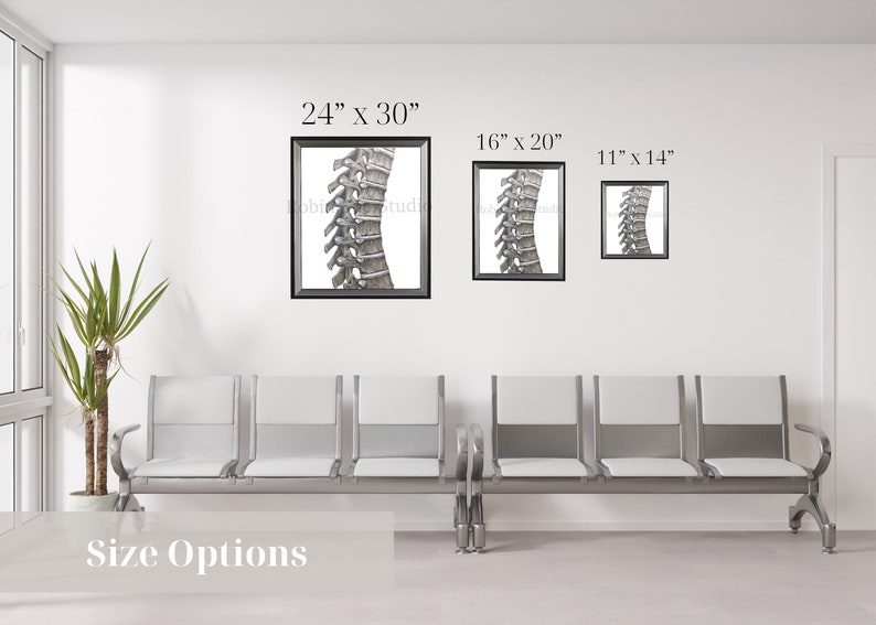 Spine Anatomy Poster Medical Decor for Doctor Office Decor for Waiting ...