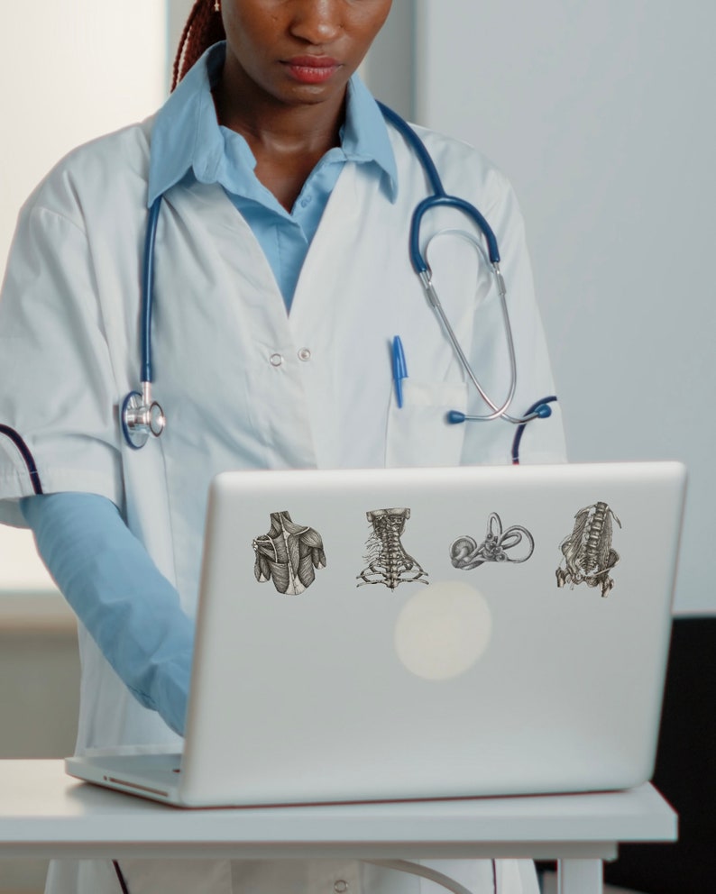 Clear Vinyl Sticker Back Muscle Anatomy Sticker Medical Theme Sticker ...