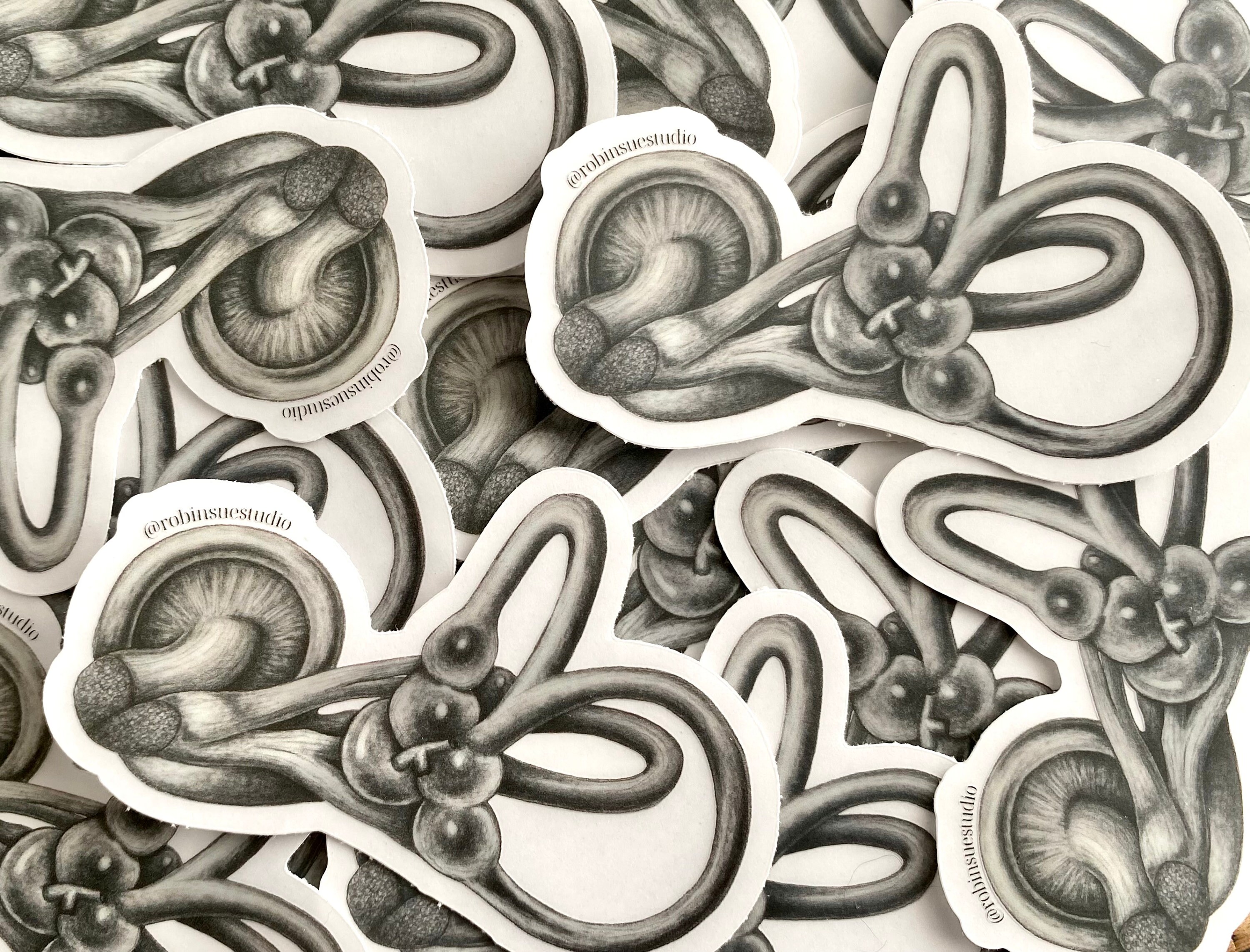 Clear Vinyl Sticker Vestibular Anatomy Sticker Audiologist Gift for ENT ...