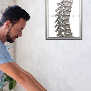 Spine Anatomy Poster Medical Decor for Doctor Office Decor for Waiting ...