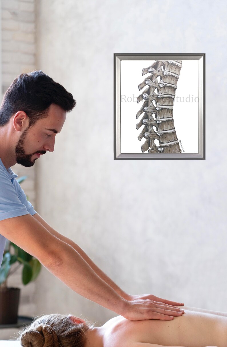 Spine Anatomy Poster Medical Decor for Doctor Office Decor for Waiting ...