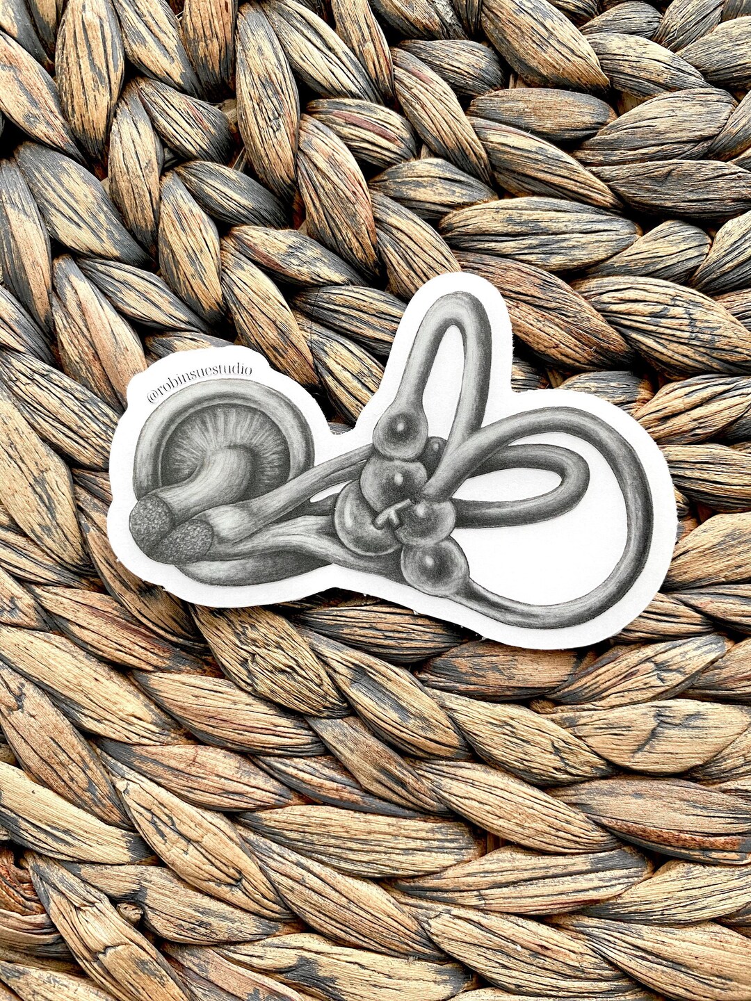 Clear Vinyl Sticker Vestibular Anatomy Sticker Audiologist Gift for ENT ...